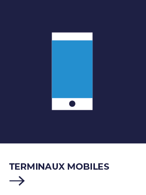 Terminaux mobiles - www.afnum.fr